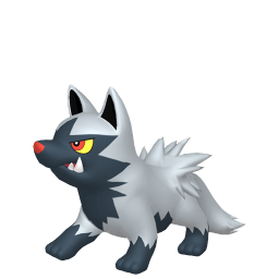 Poochyena #0261 - Pokédex Pokémon Project