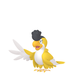 Squawkabilly #0931 - Pokédex Pokémon Project