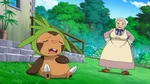 Temporada 17: XY - Série de Ash [PT] - Pokémon Project