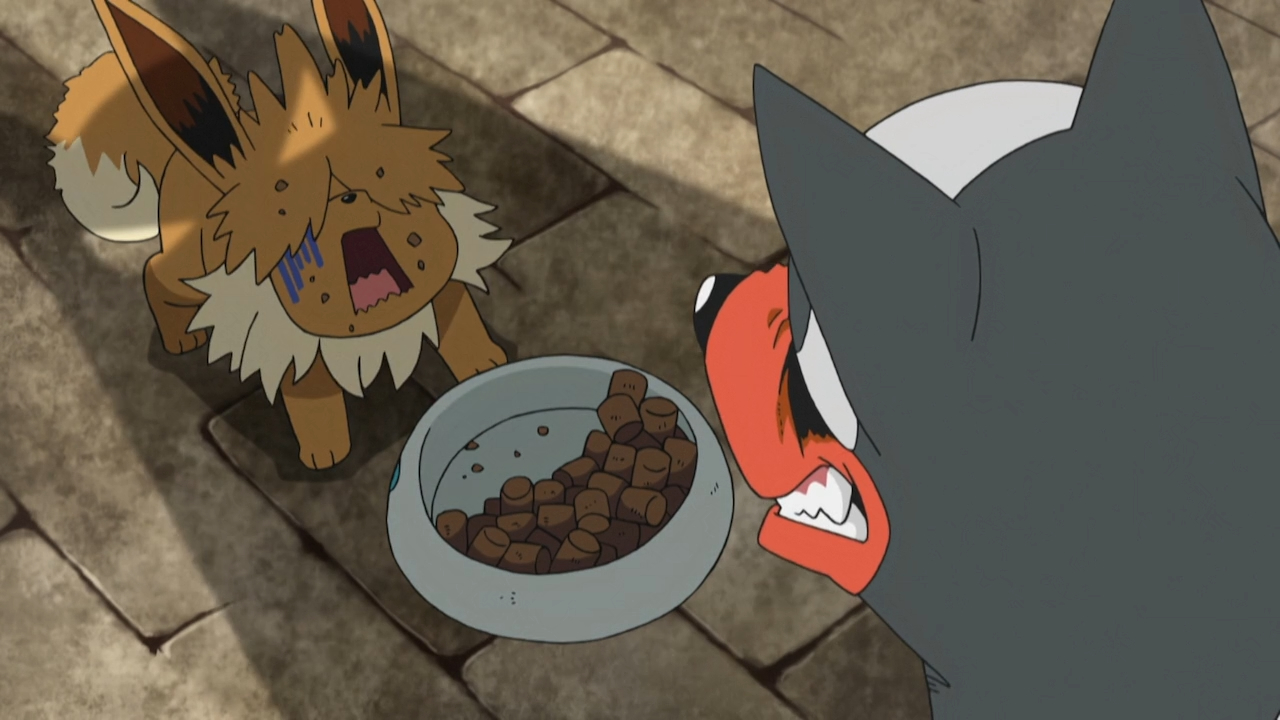 Little Eevee encounters Hungry Houndour - ¿A dónde vas, Eevee? [MX ...